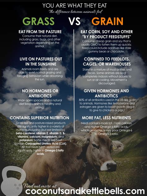 The Grass Fed Difference Why You Are What They Eat Coconuts Kettlebells