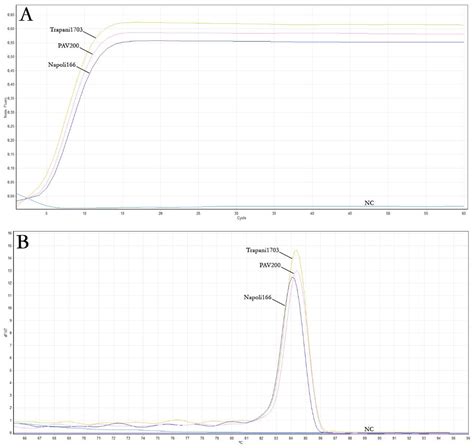 Plants Free Full Text Development Of An In Field Real Time LAMP