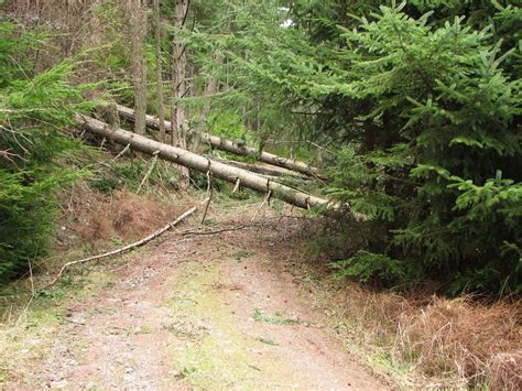 Obstacles On The Path Mindfulness Online