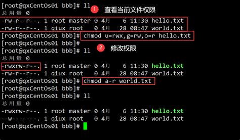 linux—实操篇：组管理和权限管理 linux组操作 csdn博客