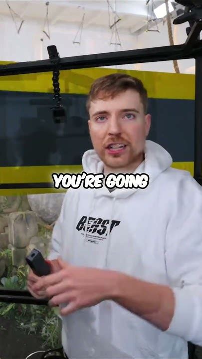 The Funny Video Clib Youtube