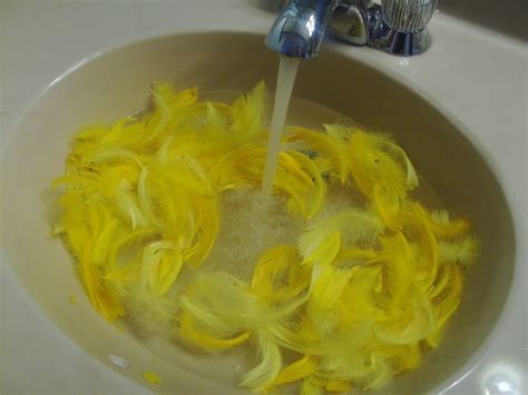 Feathers Preparation And Tips How To Make A Feather How To By Mew Aeris