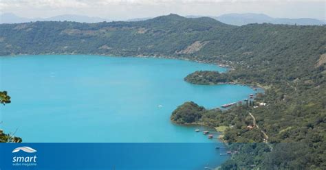 In The Us Preventing And Treating Algae Blooms Has Cost At Least 11