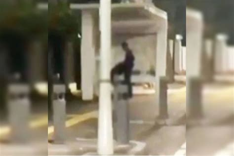 Casal Faz Sexo Enquanto Espera Por ônibus E Vídeo Chega à Polícia