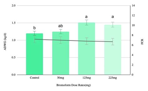 Methane Reducing Asparagopsis Cattle Feed Provectus Algae