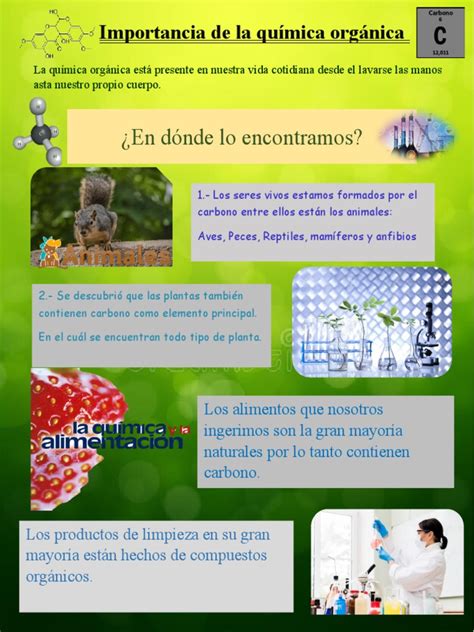 Infografia Quimica Orgánica Pdf