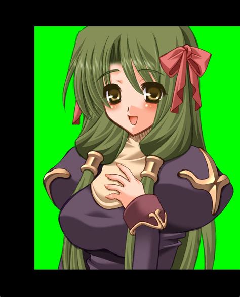 Hakoiri Nyanko Danbooru