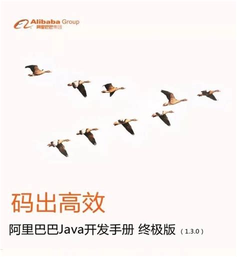 阿里正式发布Java开发手册 终极版单元测试规约来袭