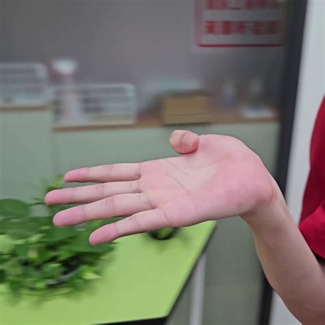 gesture segmentation instance segmentation dataset and pre trained