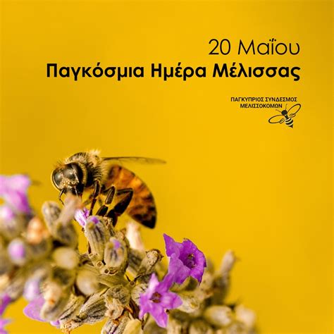Σήμερα 20 Μαΐου γιορτάζουμε την παγκόσμια ημέρα μέλισσας Οι μέλισσες επικονιάζουν το 80 τις