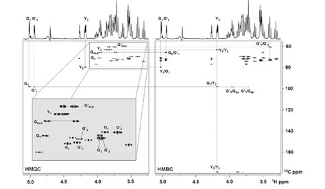 Heteronuclear Multiple Quantum Correlation Hmqc Left And