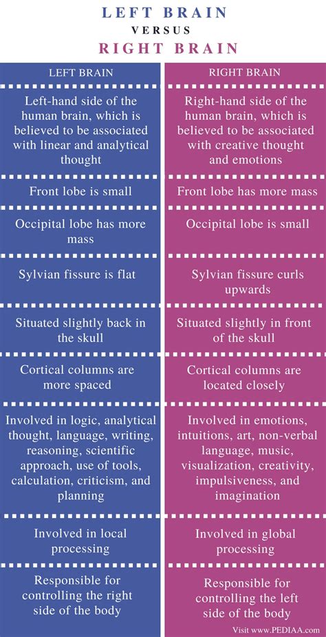 Difference Between Left And Right Brain Pediaa