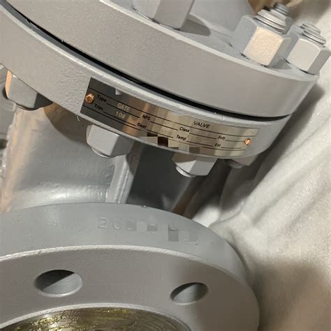 BS1414 API 600 Carbon Steel A216 Wcb A352 Lcb Lcc A217 Wc6 Wc9 C12A