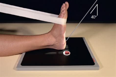 Chapter 7 Essential Projections Calcaneus Flashcards Quizlet