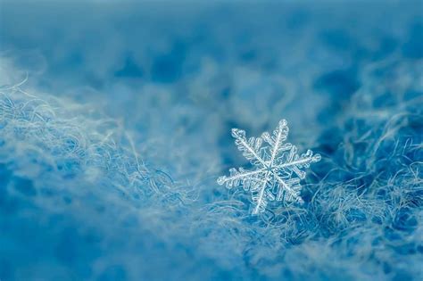 Intricate Snowflake On Blue Frosty Grass Intricate Snowflake On Blue Frosty Grass