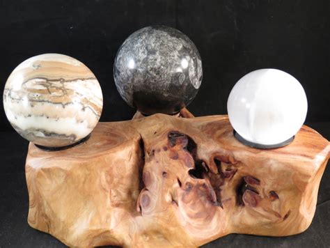 Fossil Displays For Sale