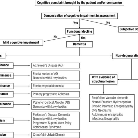 Main Etiological Differential Diagnoses Of Dementia Download Scientific Diagram