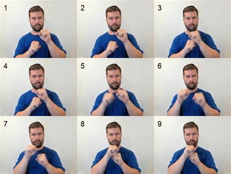 Structure Asl Dictionary