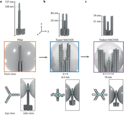 Schematic Representation Of Three Different Dna Origami Designs Used