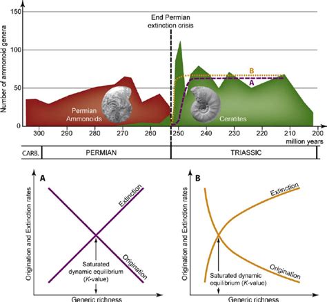 Evolution Of The Number Of Ammonoid Genera From The End Carboniferous