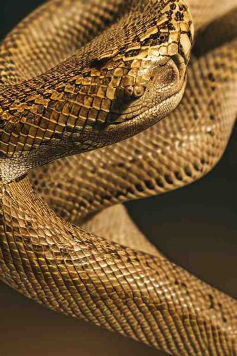 Best Bad Word Filter Python Api In Javascript Micro Saas