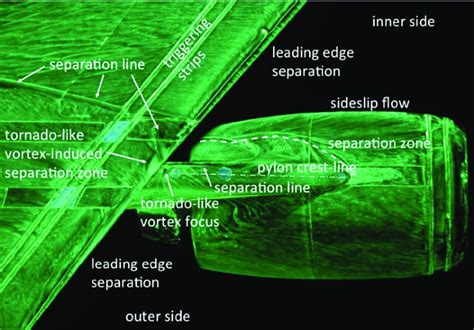 2 View Of Separation Lines Showing The Complexity Of Flow In The Wing