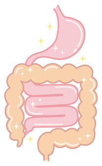 消化器 人体イラスト｜無料イラスト・フリー素材なら「イラストac」