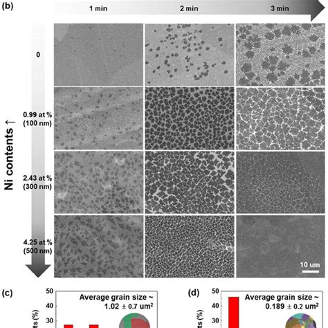 Observation Of Controlling The Nucleation Density And Grain Size Of Download Scientific Diagram