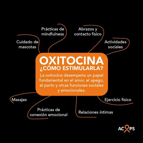 La Oxitocina Es Una Hormona Y Un Neuropéptido Producido En El