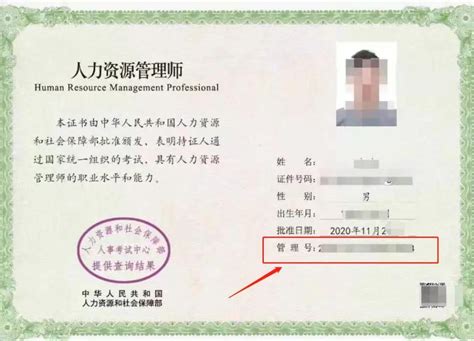2020年的中级经济师证书编号是什么 怎么查询 中国会计网
