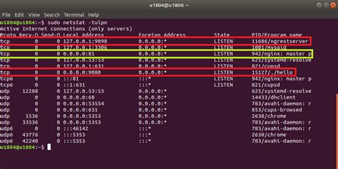 Configuration Managment Configuring Nginx Ngrest On Ubuntu Virtual Machine For Outside Access