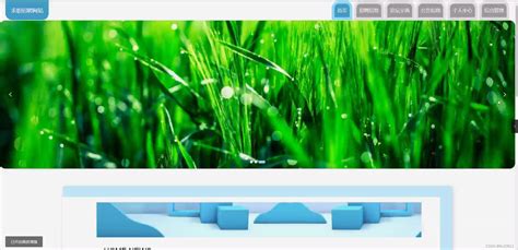Java求职招聘网站 Csdn博客