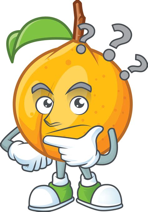 Nutmeg Fruit Vector 17583408 Vector Art At Vecteezy