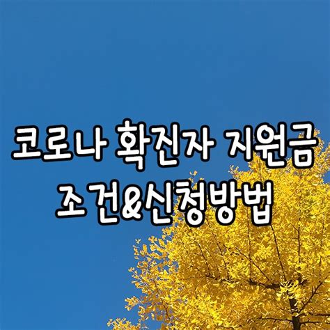 코로나 지원금 신청 재감염도 가능할까확진자 자가격리 재택치료 생활지원금 네이버 블로그
