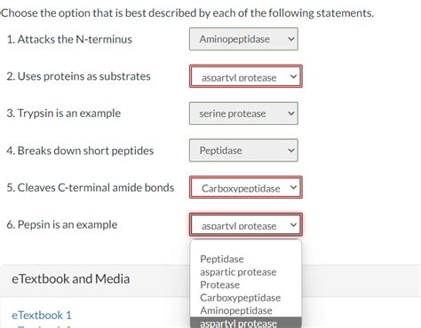 Choose The Option That Is Best Described By Each Of Chegg