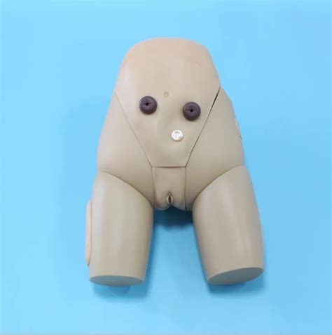 Medical Urinary System Female Urethral Catheterization Simulator For