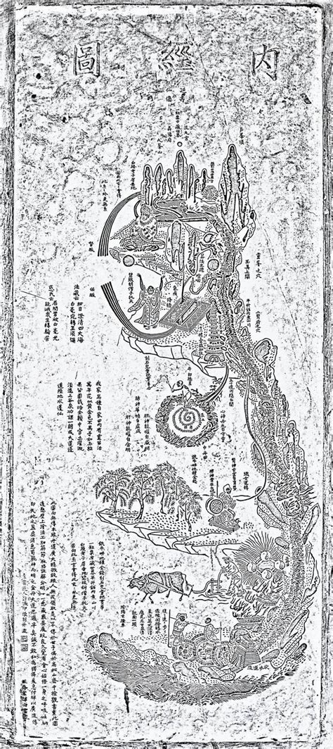 内经图 360百科