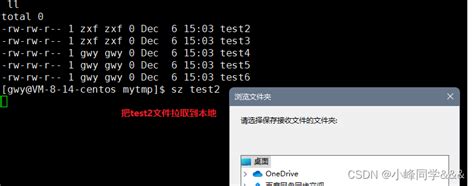 Linuxyum Yum Install Csdn