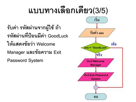 หลักการเขียนผังงาน Flow Chart Pdf