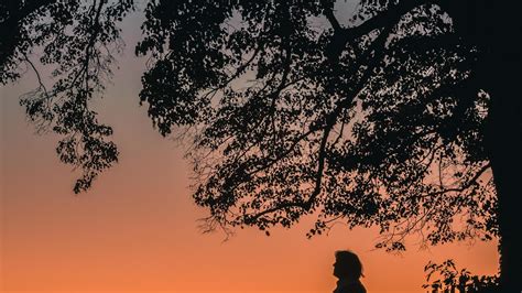Exploring The Mind Body Spirit Connection For Holistic Health Gachable