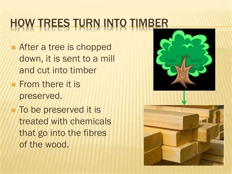 PPT Timber Assessment Task PowerPoint Presentation Free Download ID