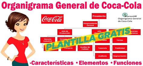 Organigrama General de Coca Cola 2025 Características Elementos Funciones