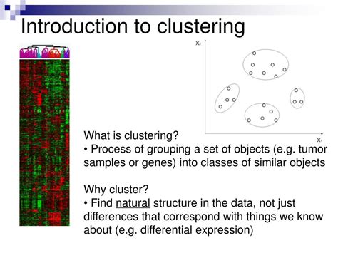Ppt Lecture 9 Gene Expression Analysisclustering Powerpoint