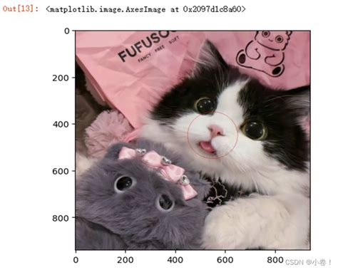 skimage图像处理（六） plt绘制skiimage图像 csdn博客