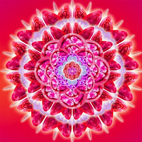 Root Chakra Healing Mandala By Rootchakra On Deviantart