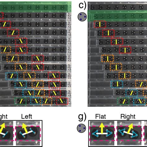 A Ddefect Nucleation And Propagation Step Wise Deformation Of Ten Download Scientific