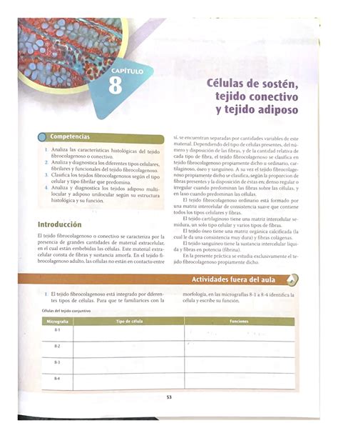 Cap 8 Histologia Tejido Conjuntivo Histología Studocu