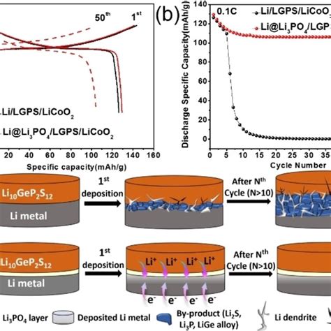 Schematic Illustration Of The Preparation Process For Li Li3po4 Anodes