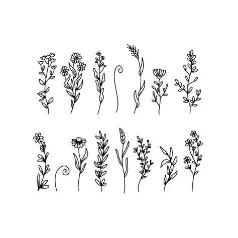 Conjunto de flores silvestres de arte de linha conjunto de ilustrações florais botânicas Vetor