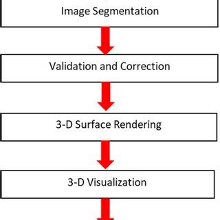 Image Processing Workflow Download Scientific Diagram